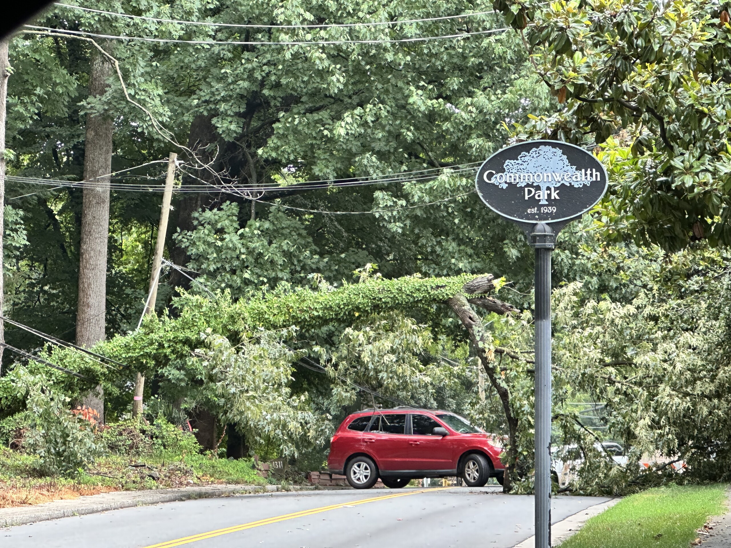 Briar Creek Road Reopened After Fallen Tree - WCCB Charlotte
